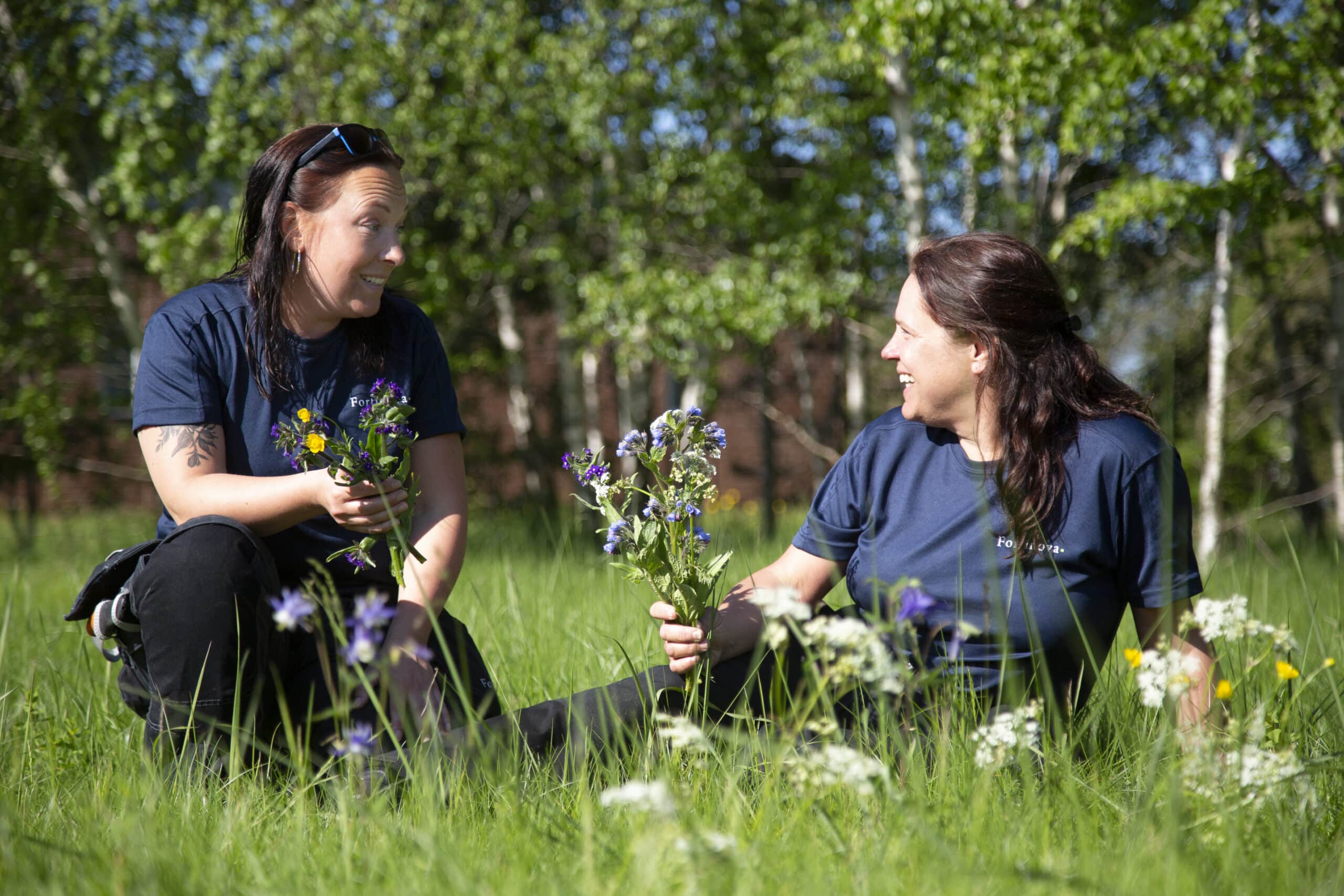 Mediabank | Fortinova